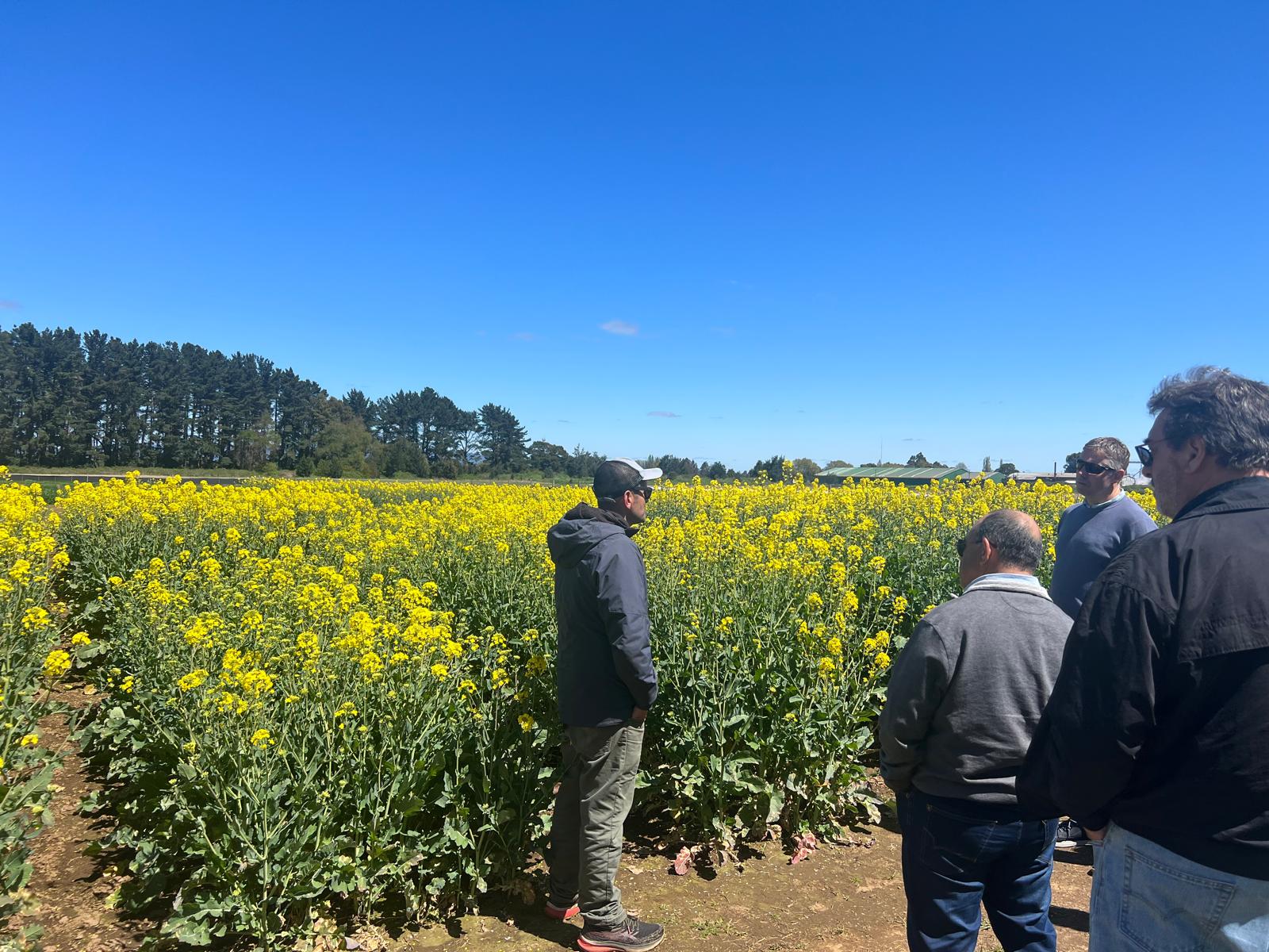 Historia – Fadisol